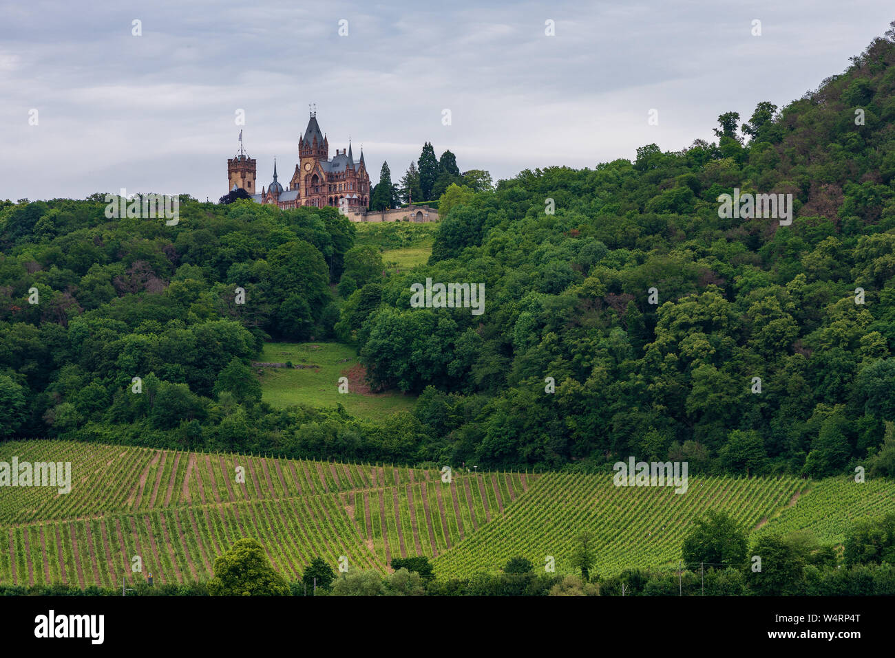 Bonn mehlem Banque de photographies et d’images à haute résolution - Alamy