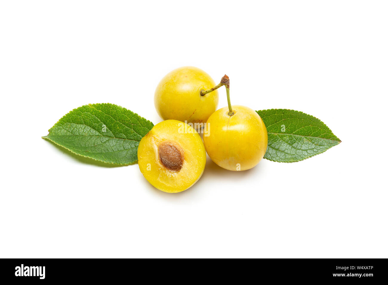 Mirabelle fruit Banque de photographies et d’images à haute résolution ...