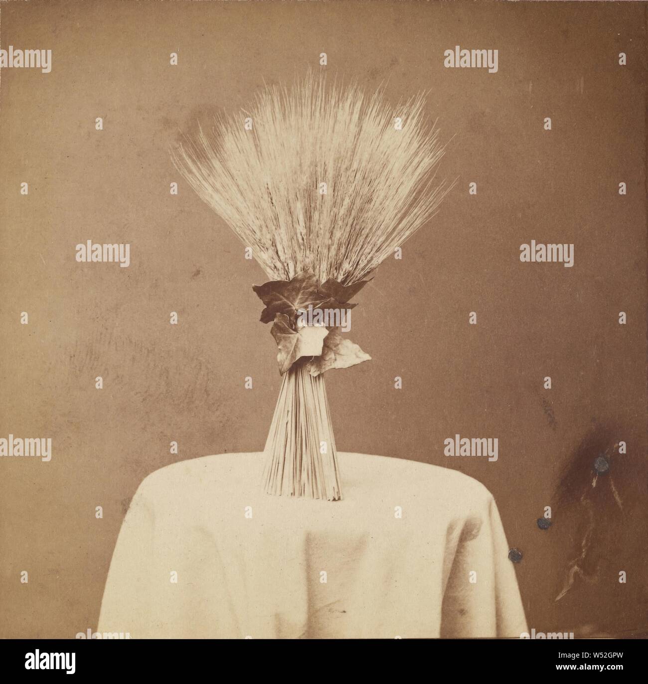 Gerbe de blé Banque de photographies et d’images à haute résolution - Alamy