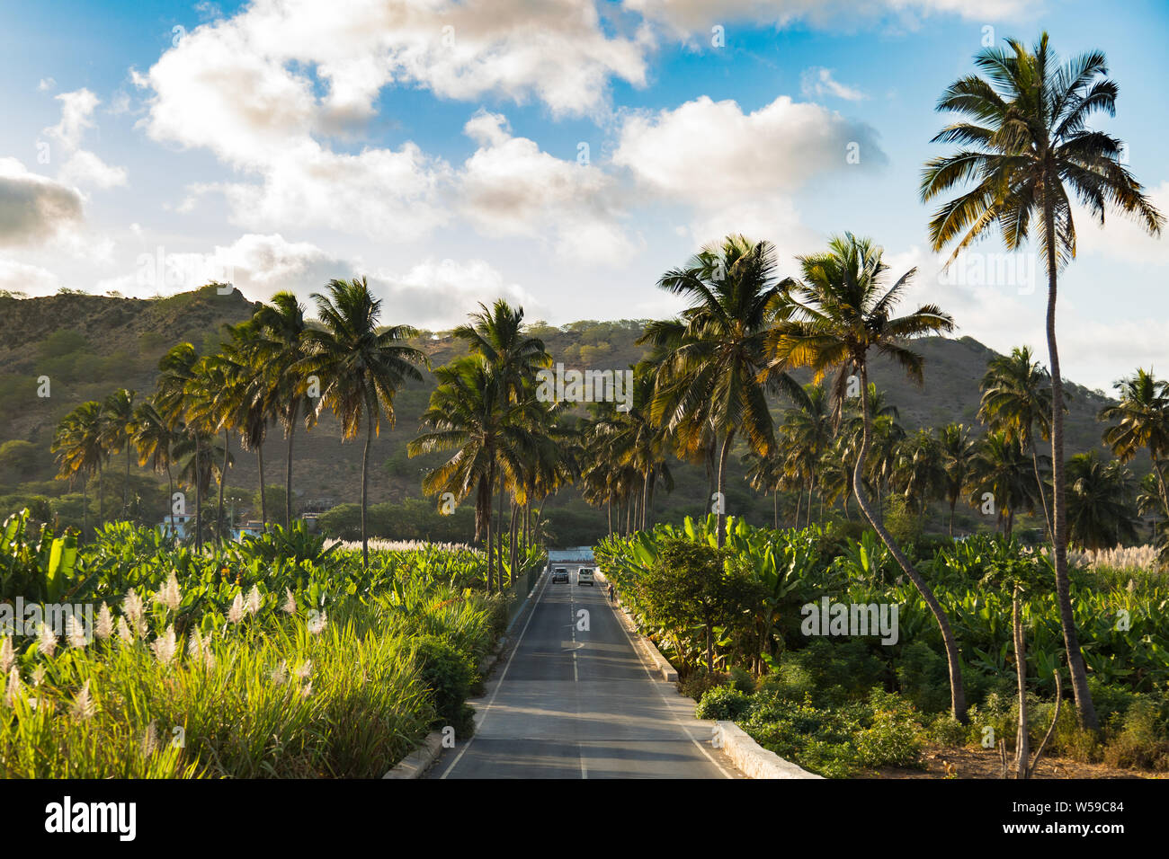 La noix de coco, bananes, canne à sucre et de plantation près de Achada ...