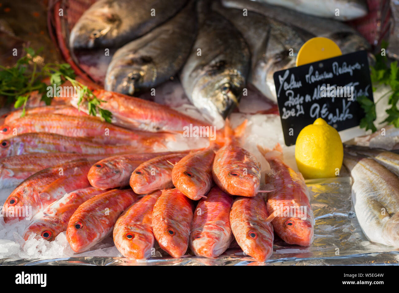 Marché aux poissons de paris Banque de photographies et d’images à ...