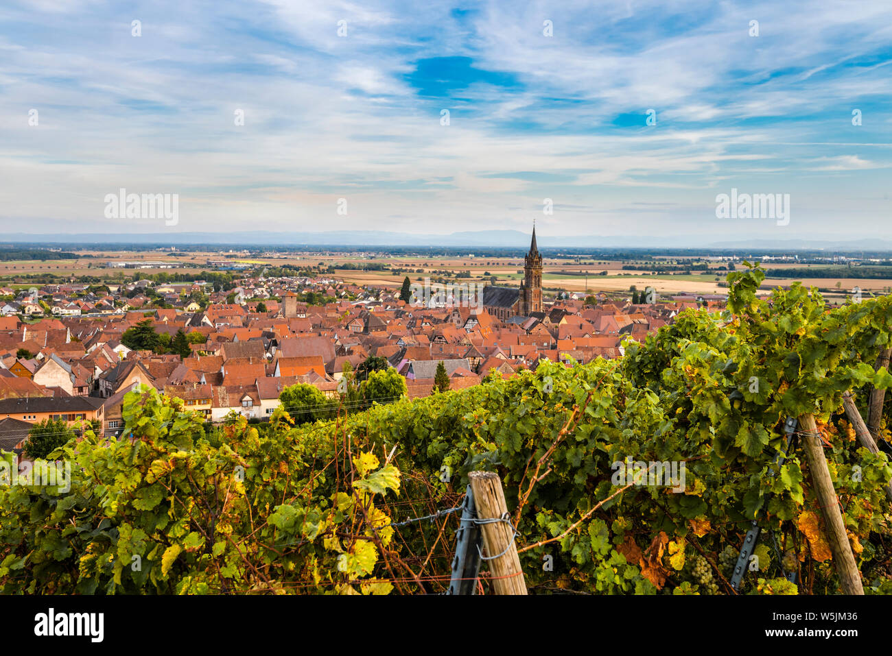 Route des vins alsace Banque de photographies et d’images à haute ...