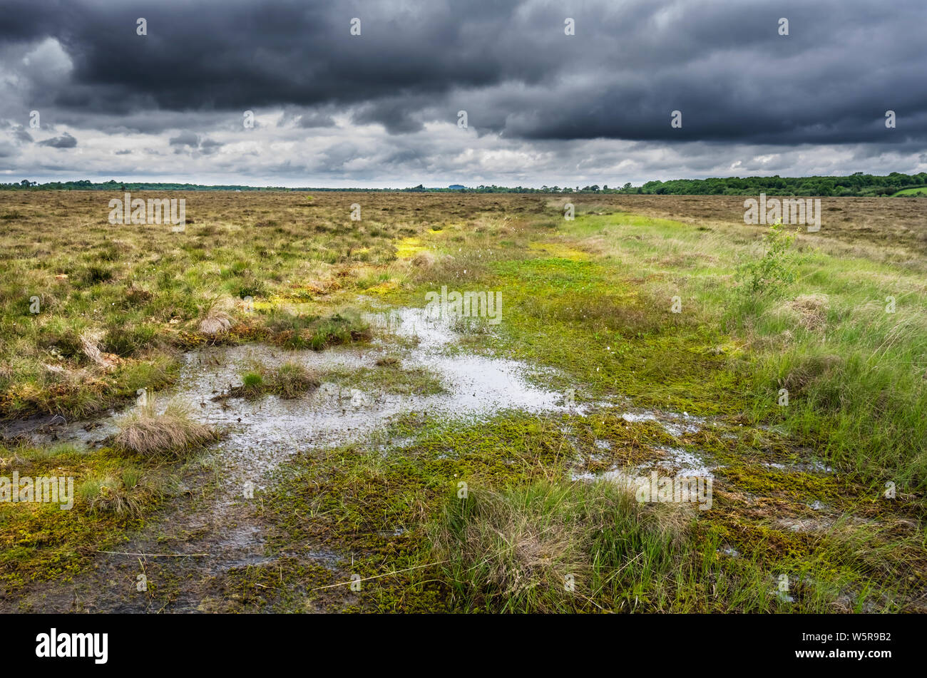 Clara irlande Banque de photographies et d’images à haute résolution ...