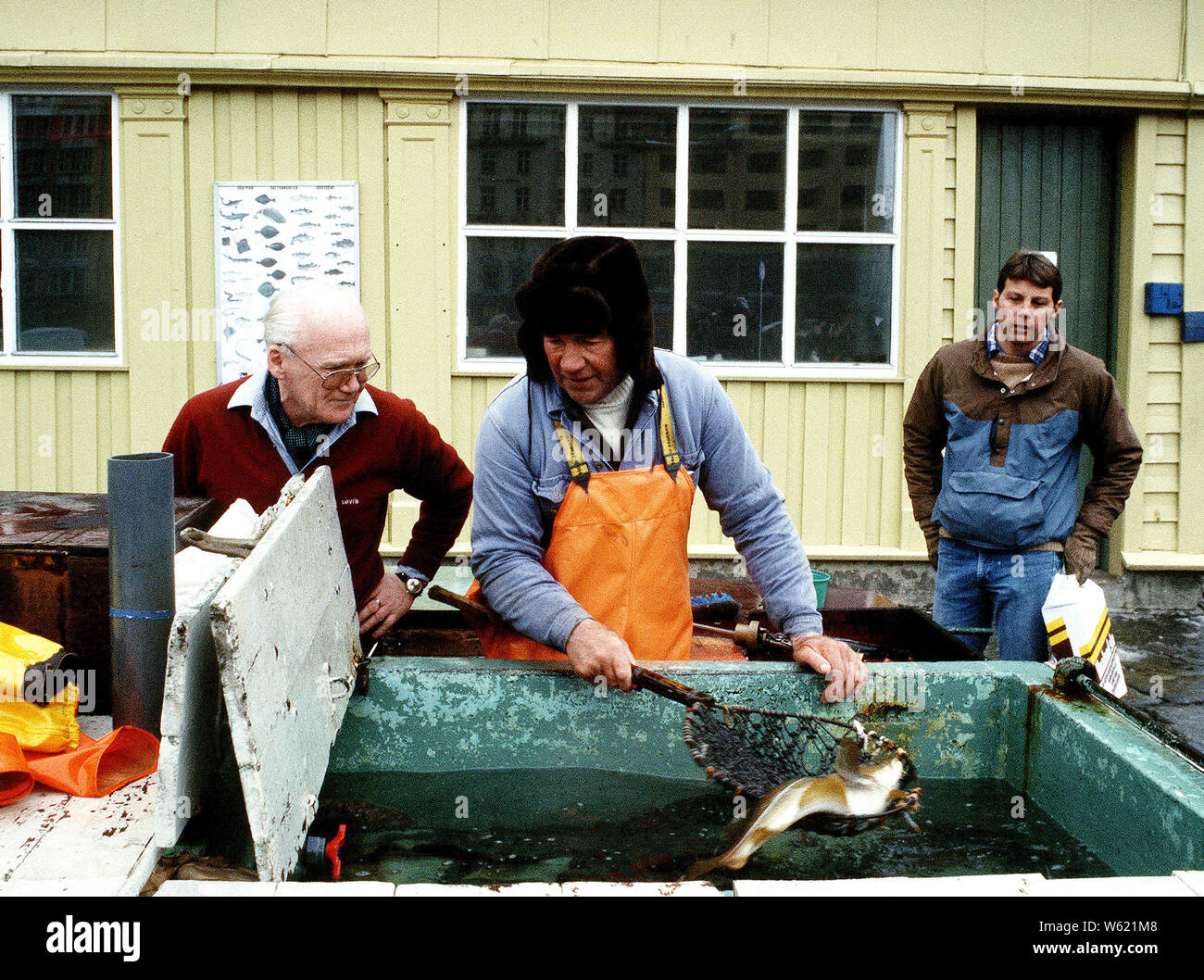 Mike mcdonald Banque de photographies et d’images à haute résolution ...