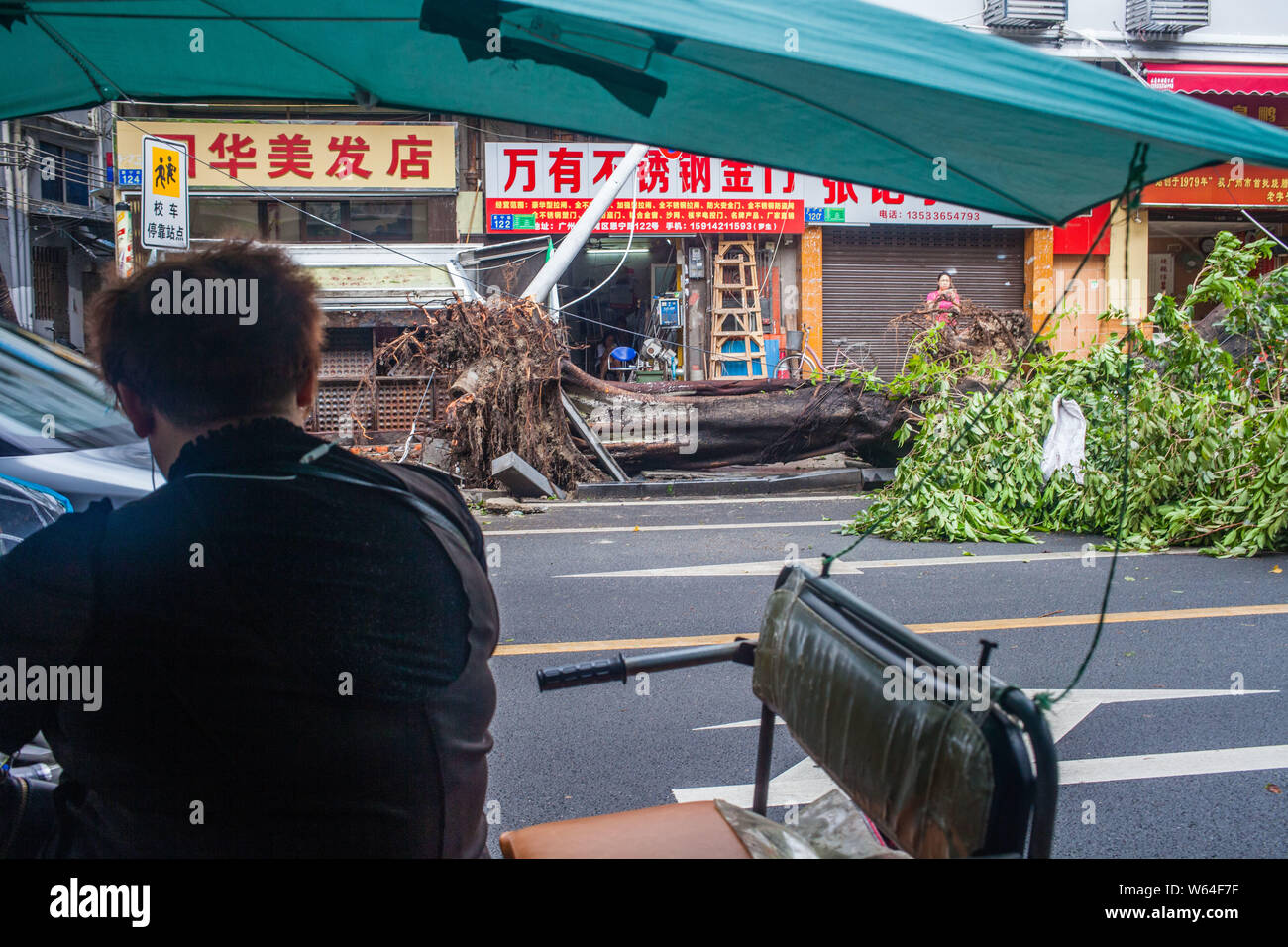 Un poteau télégraphique est déraciné par fort vent causé par le typhon ...