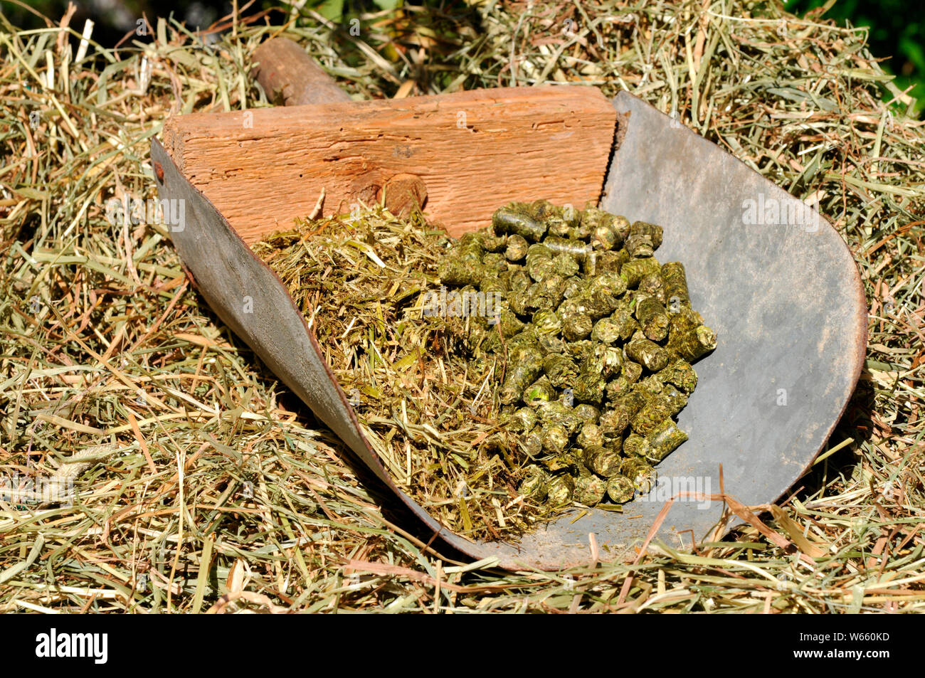 Pellets alfalfa Banque de photographies et d’images à haute résolution ...