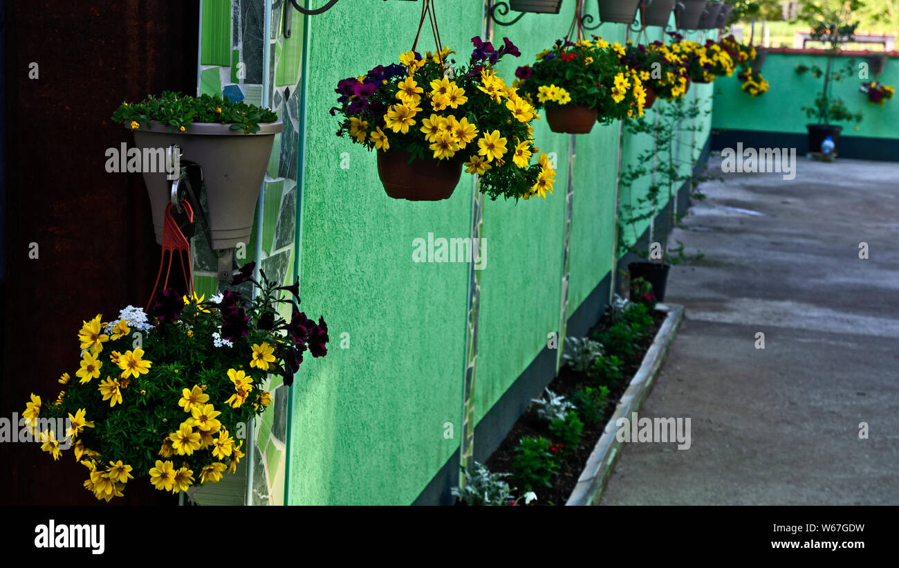 Accrocher des pots suspendus Banque de photographies et d’images à ...