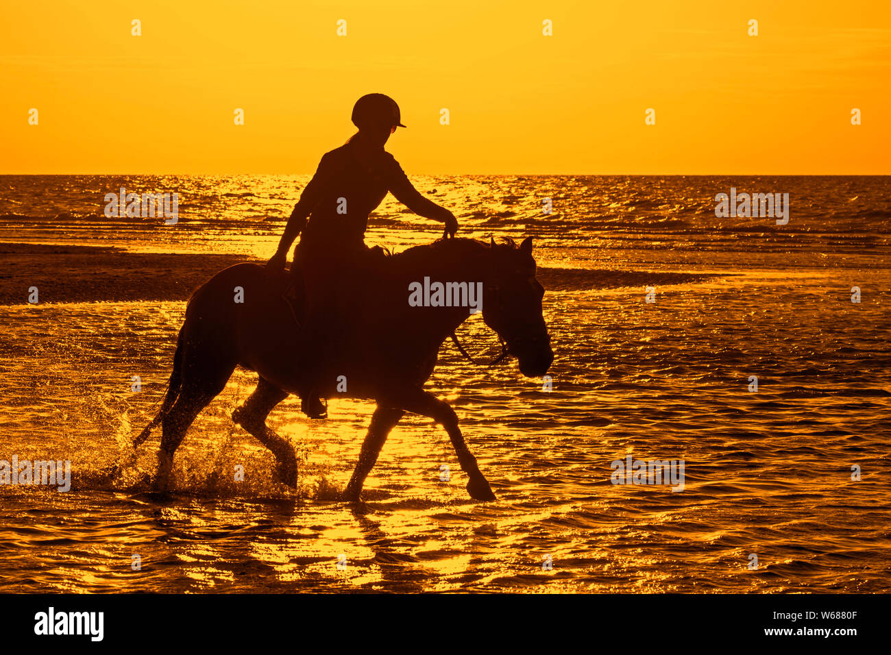 équitation femme Banque de photographies et d’images à haute résolution ...