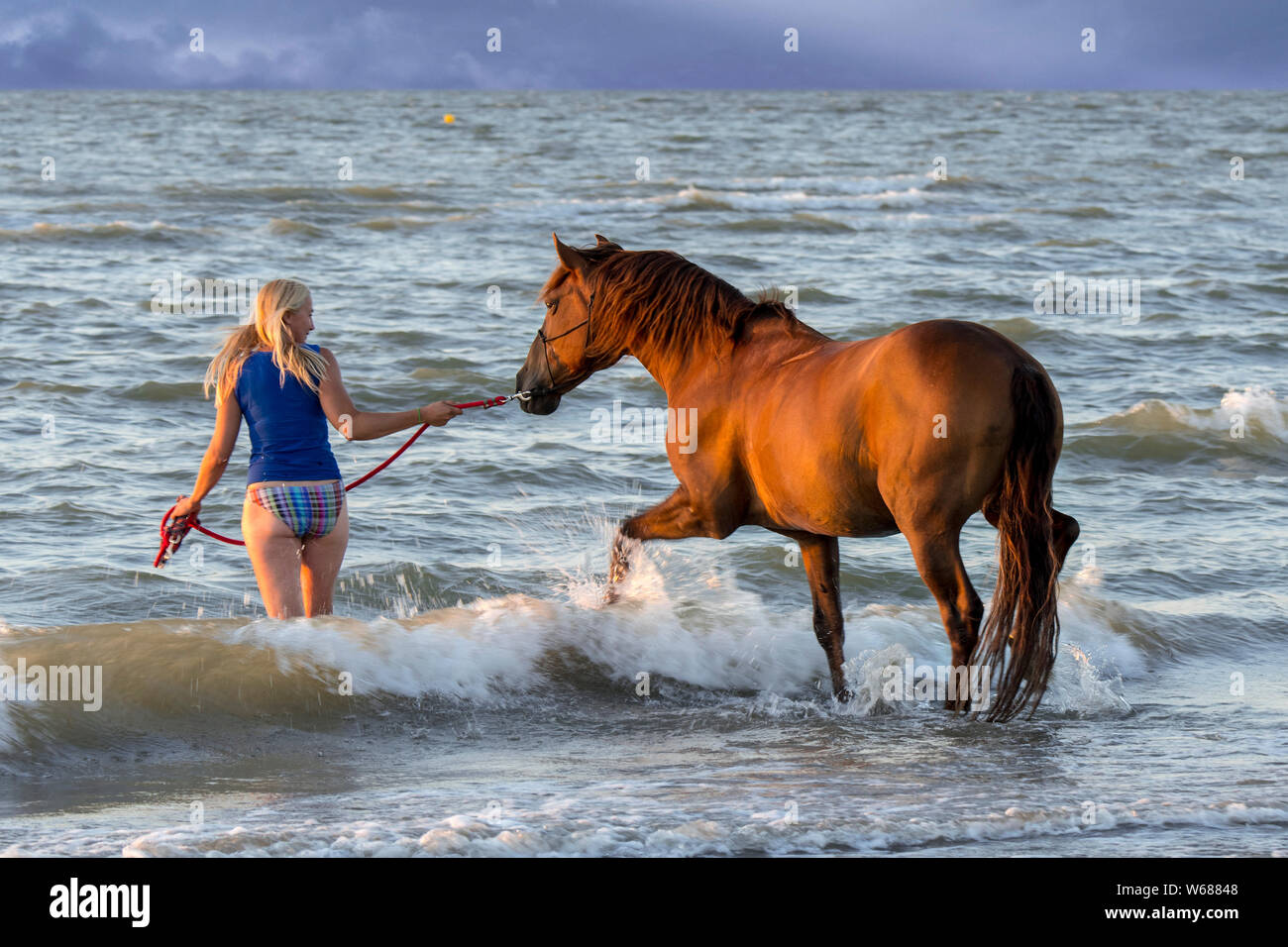Femme cheval plage Banque de photographies et d’images à haute ...