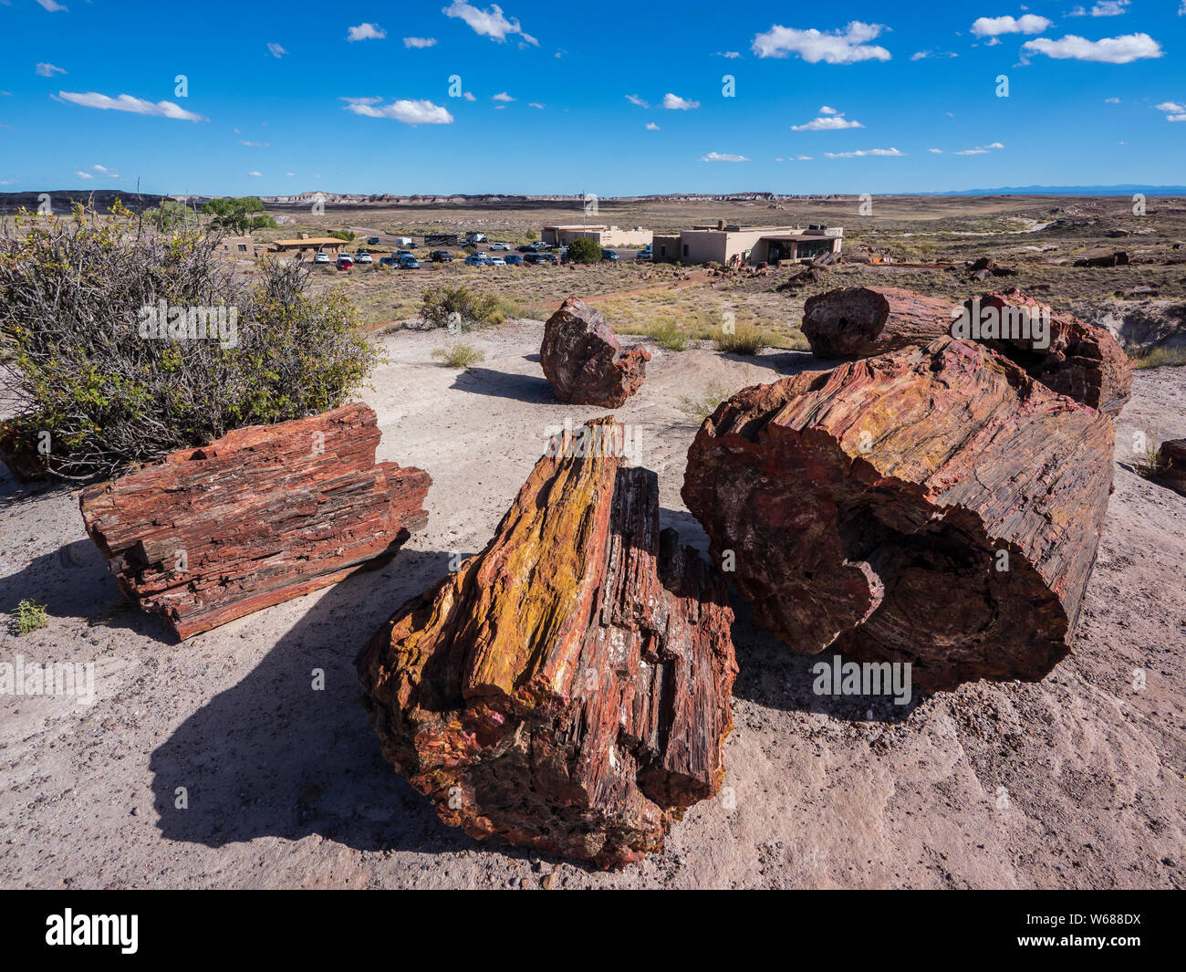 Petrified giant Banque de photographies et d’images à haute résolution ...