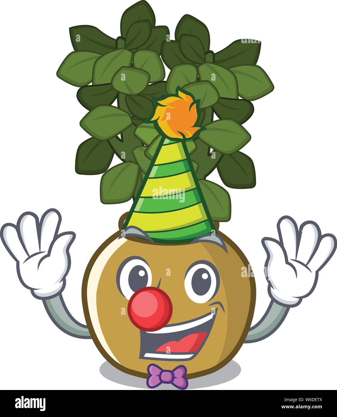 Plante de jade crassula ovata Banque d'images vectorielles - Alamy