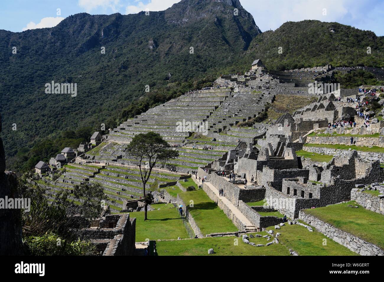 Simbologia inca Banque de photographies et d’images à haute résolution ...