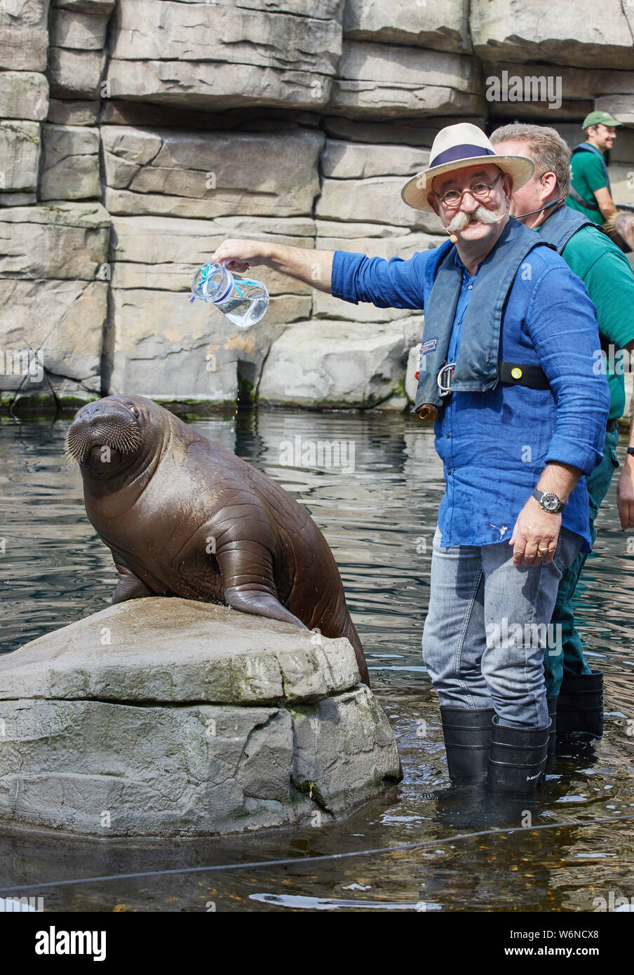 Horst wendt Banque de photographies et d’images à haute résolution - Alamy
