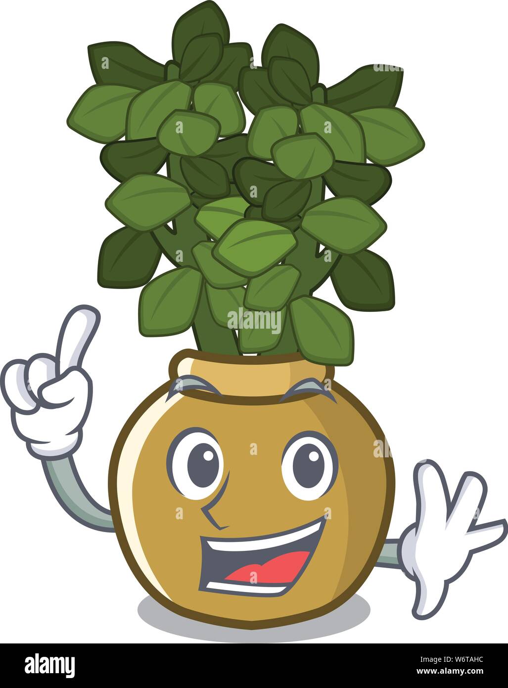 Plante de jade crassula ovata Banque d'images vectorielles - Alamy