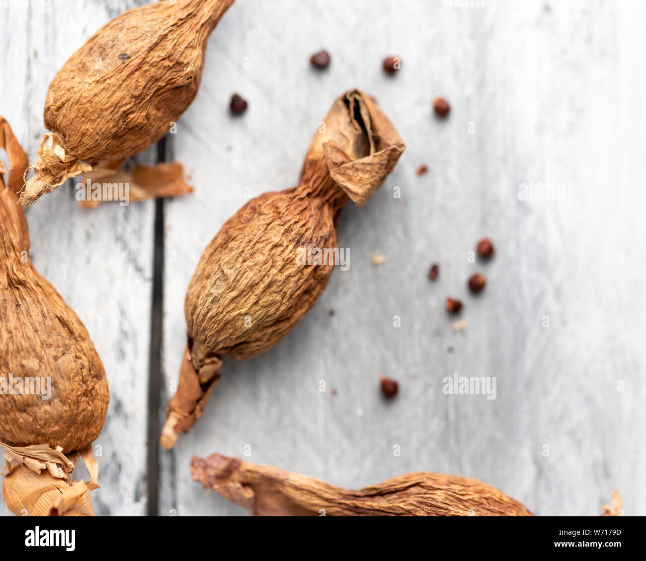 Gousses de poivre Banque de photographies et d’images à haute ...
