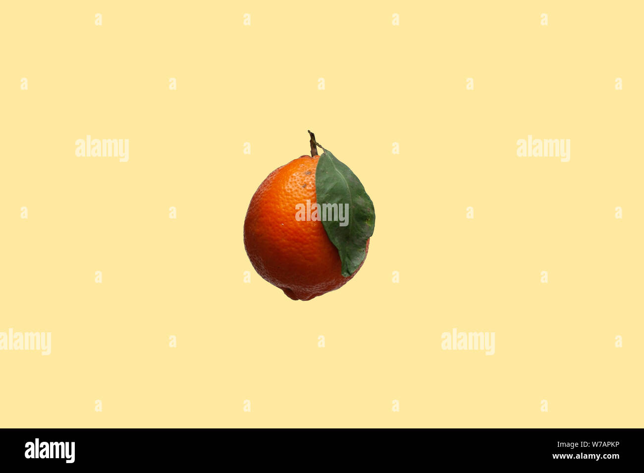 Une photo d'un orange Citron Meyer isolé avec son livre vert sur une ...