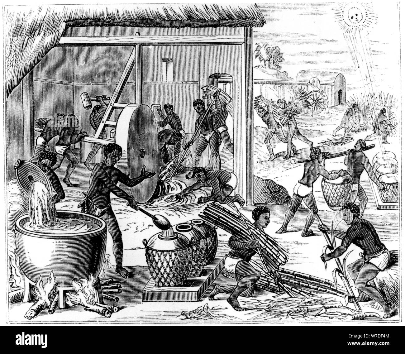 Production de sucre esclavage Banque de photographies et d’images à haute résolution - Alamy