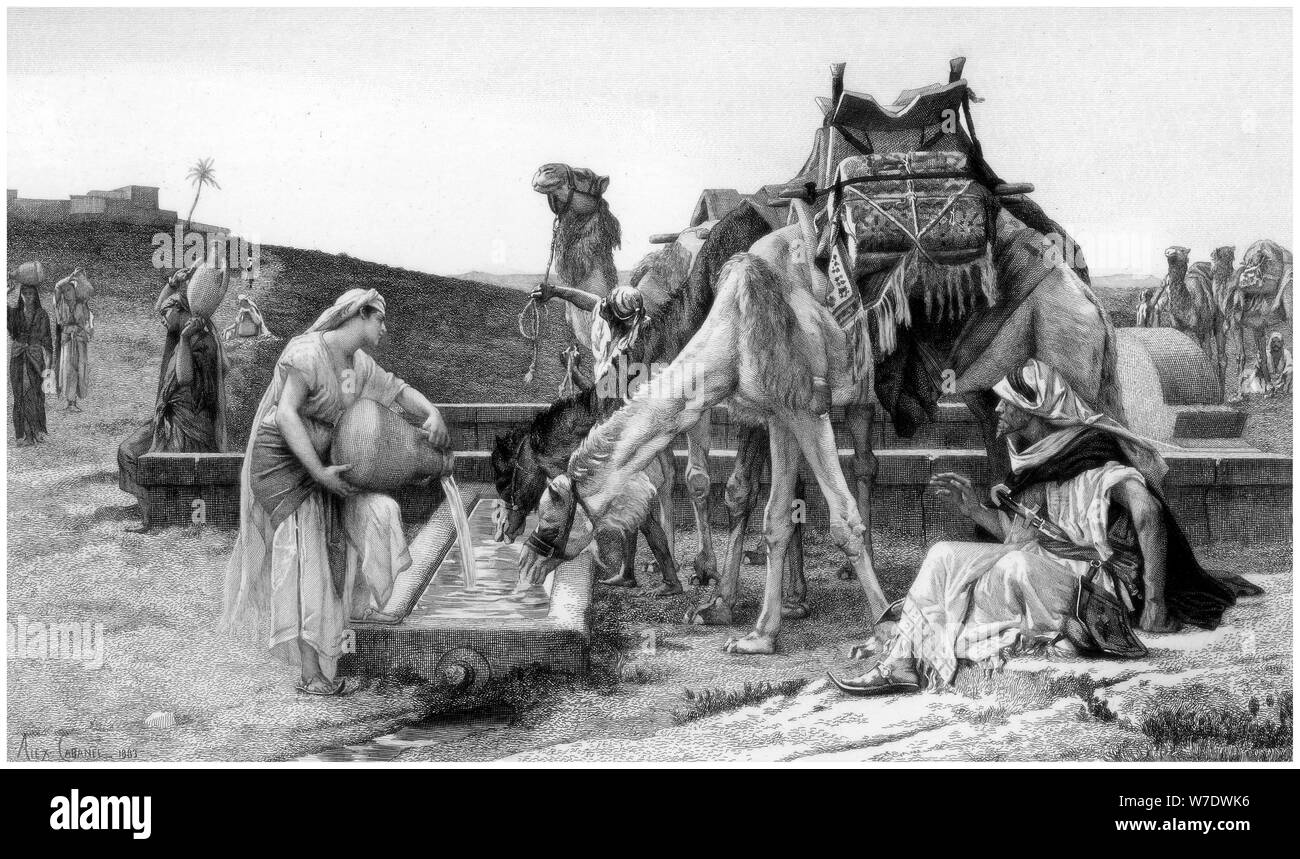 Chameaux eliezers Banque de photographies et d’images à haute résolution - Alamy