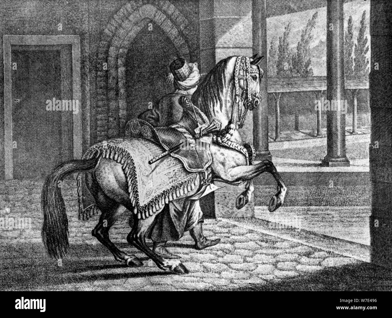 Selle cheval arabe Banque de photographies et d’images à haute ...