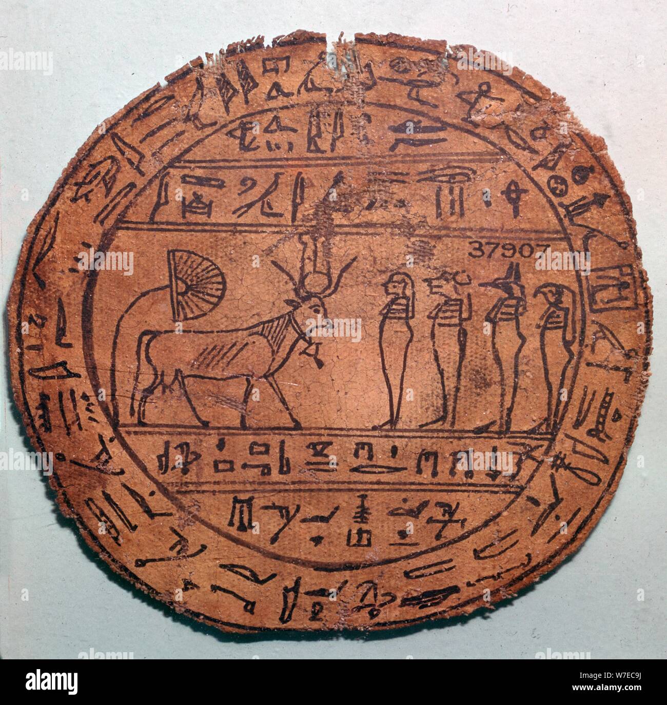 Egypt Apis Banque d'image et photos - Alamy