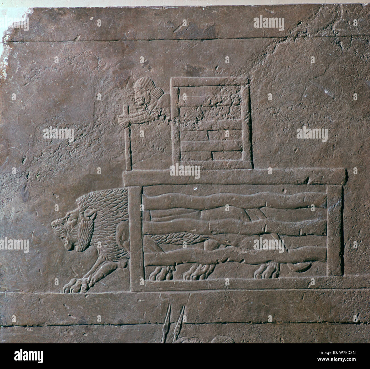 Assyrian lion hunt Banque de photographies et d’images à haute ...