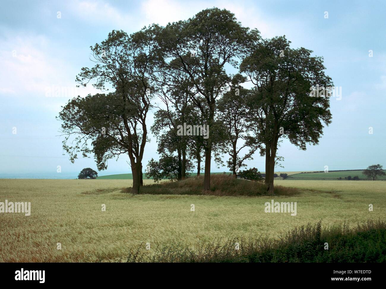 Round barrow Banque de photographies et d’images à haute résolution - Alamy