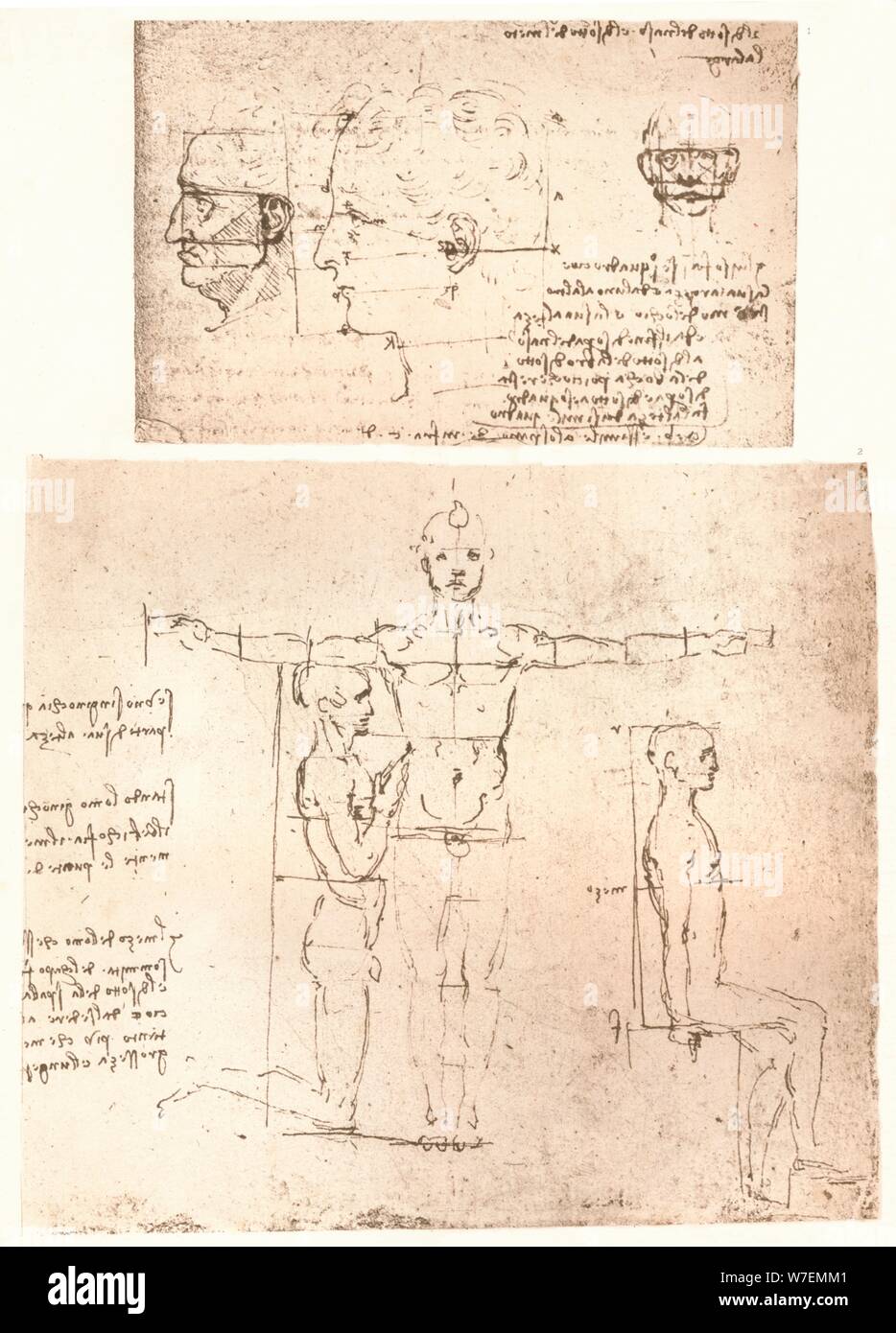 Deux dessins illustrant la théorie des proportions de la figure humaine ...