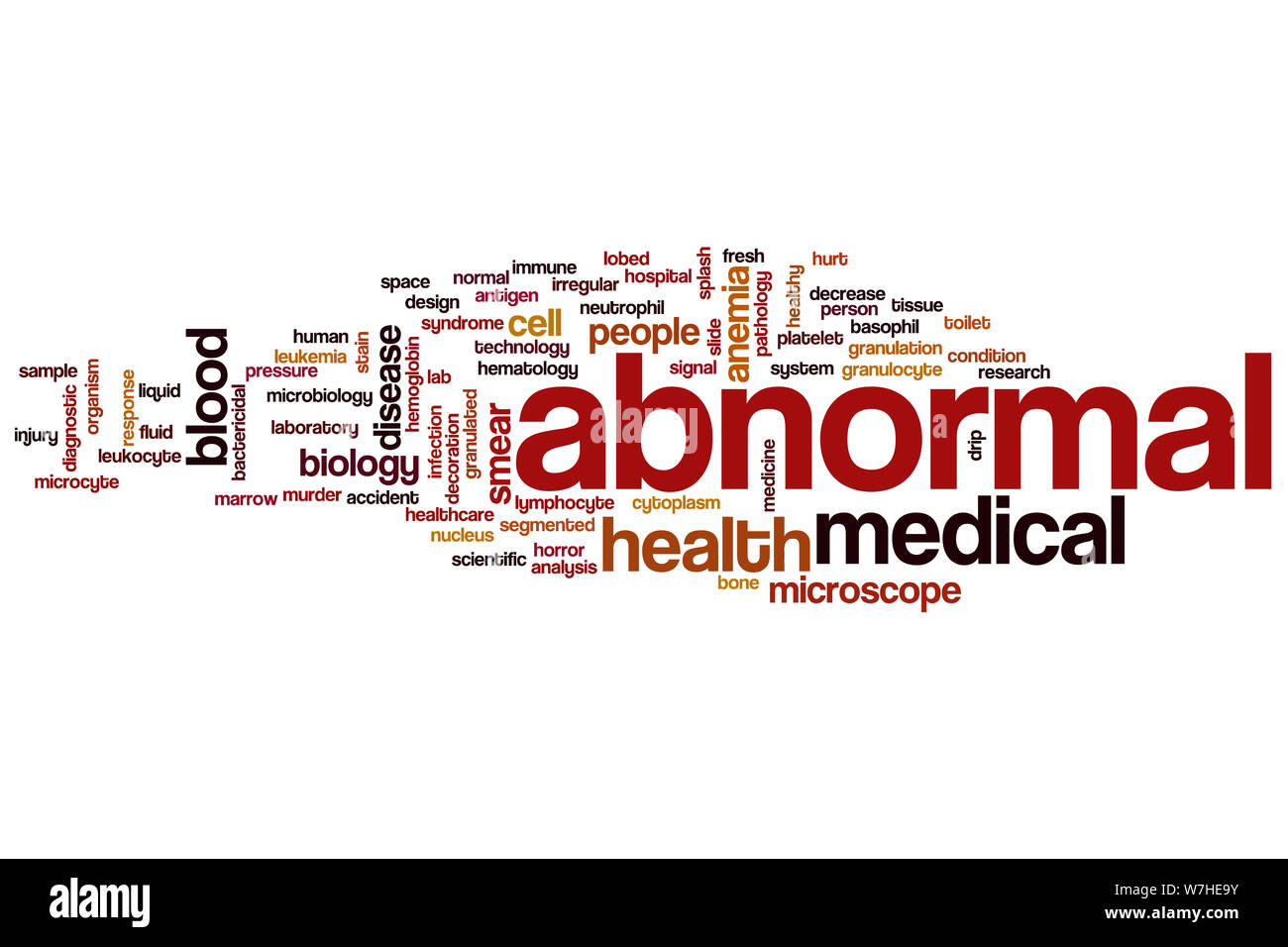 Frottis sanguin normal Banque de photographies et d’images à haute ...