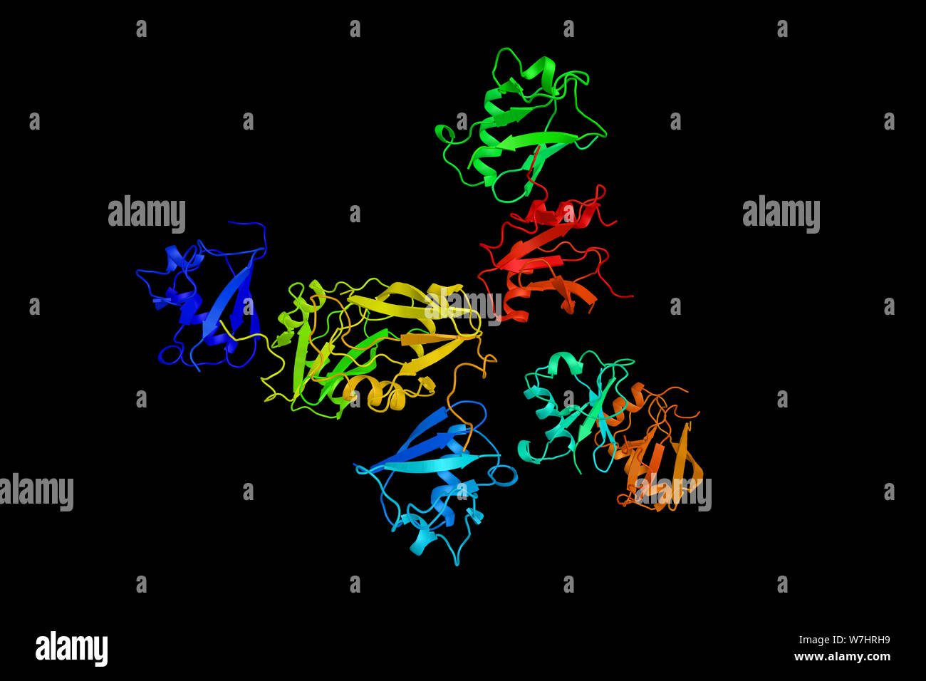 Le cytosol des neutrophiles facteur 4, une composante de la ...
