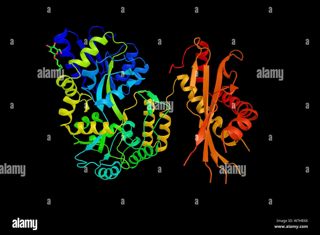 Canal pulmonaire Banque de photographies et d’images à haute résolution ...