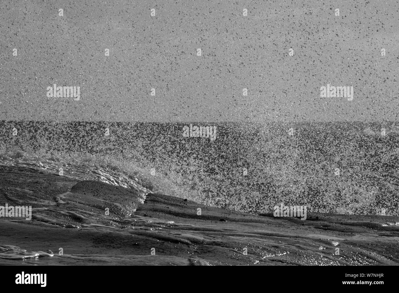 Grosse vague plage Banque d'images noir et blanc - Alamy