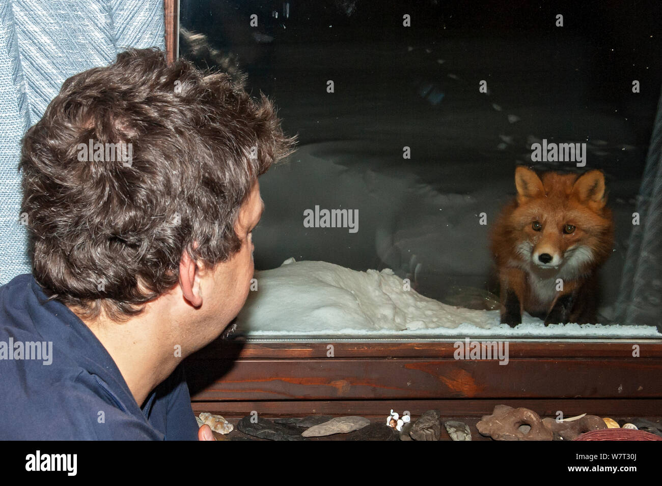 Sergey Gorshkov Banque d'image et photos - Alamy