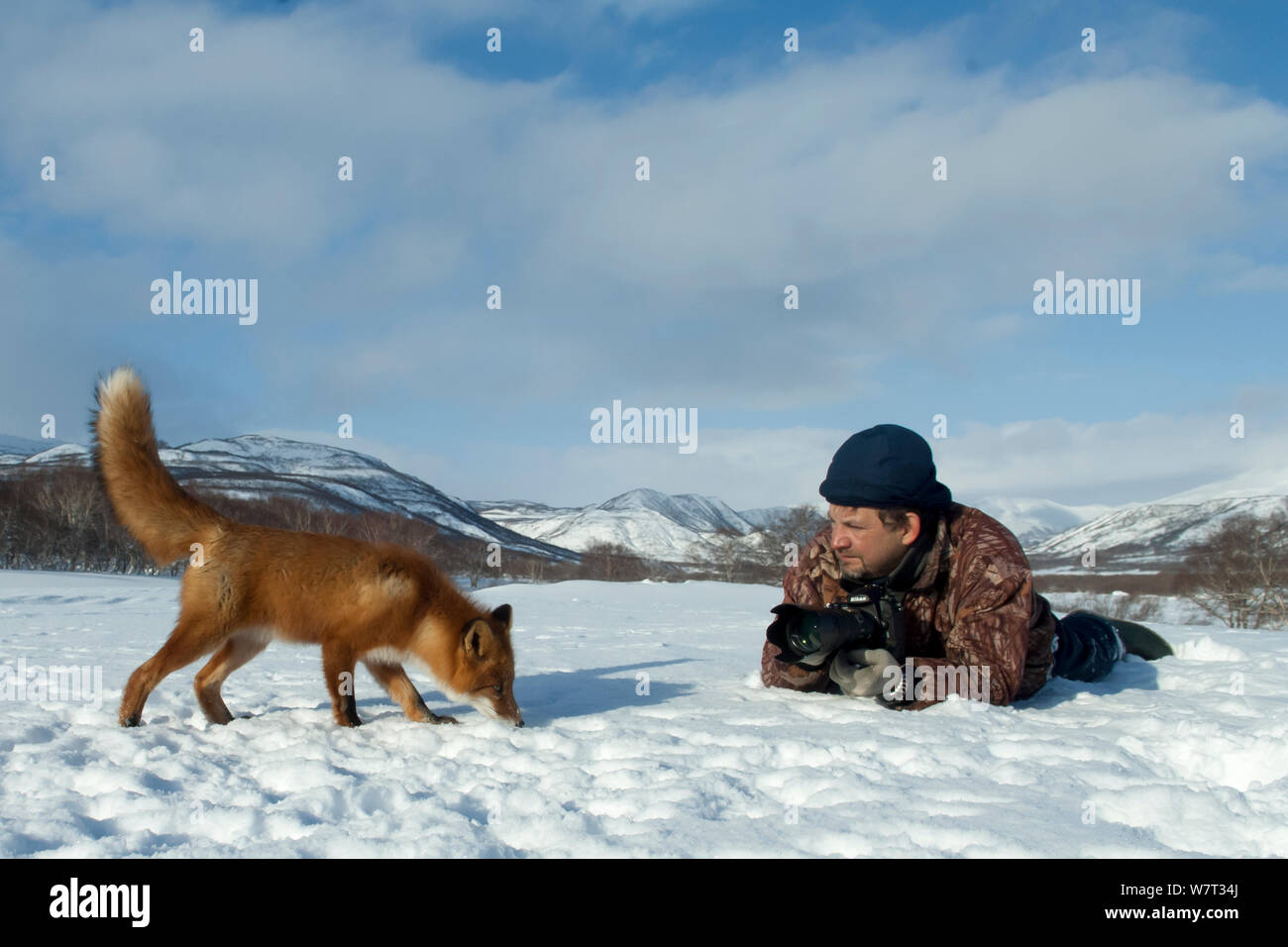 Sergey gorshkov Banque de photographies et d’images à haute résolution ...