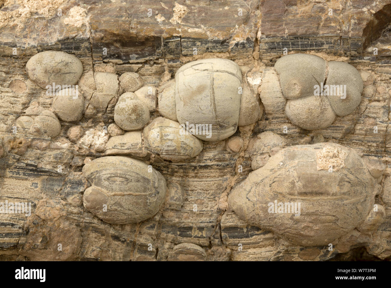 Roches ignées Banque de photographies et d’images à haute résolution ...