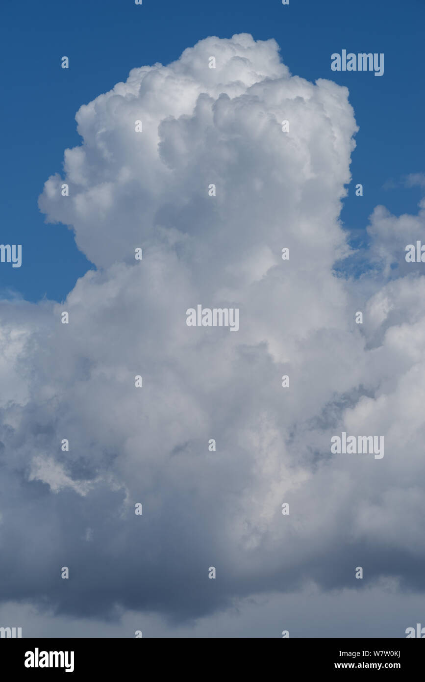 Cumulonimbus calvus Banque de photographies et d’images à haute ...