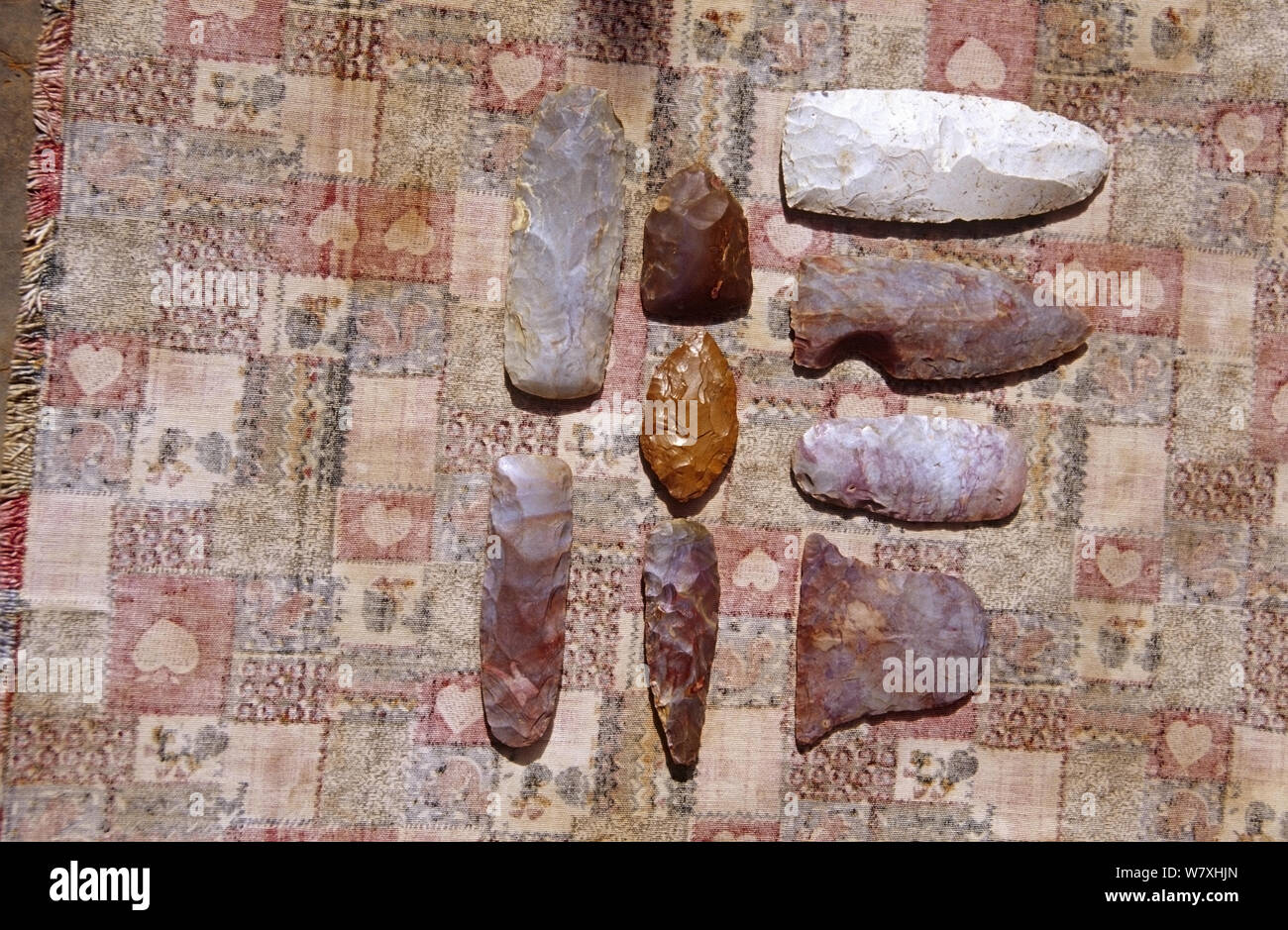 Neolithic tools Banque de photographies et d’images à haute résolution ...
