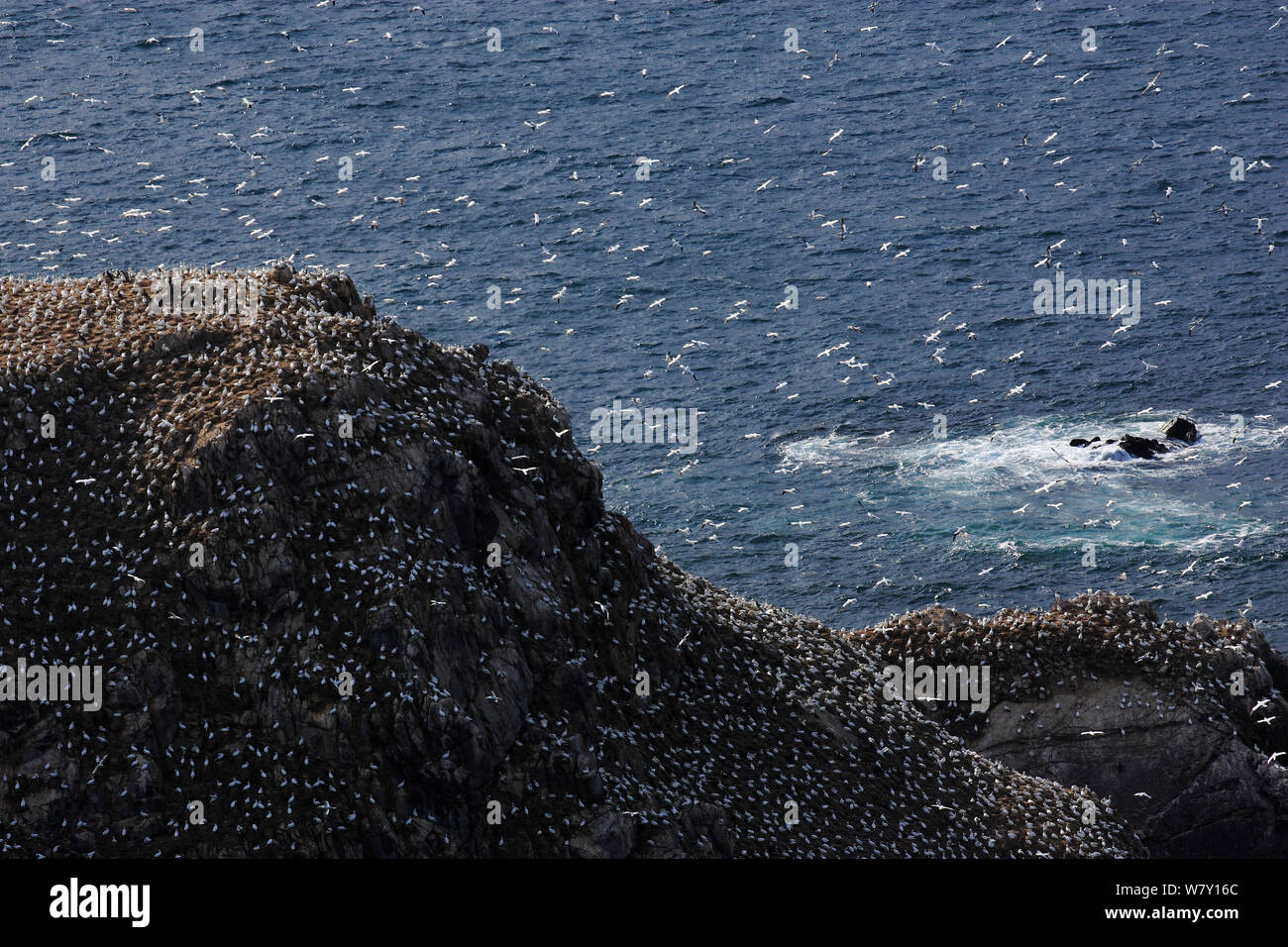 Sept iles brittany Banque de photographies et d’images à haute ...