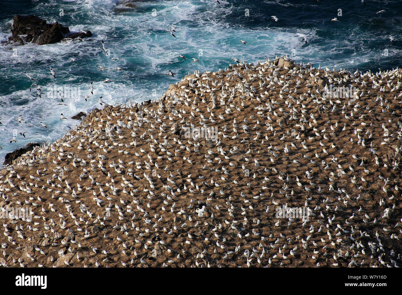 Sept iles brittany Banque de photographies et d’images à haute ...