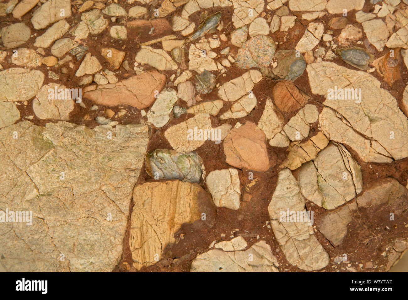 Sedimentary rock conglomerate Banque de photographies et d’images à ...