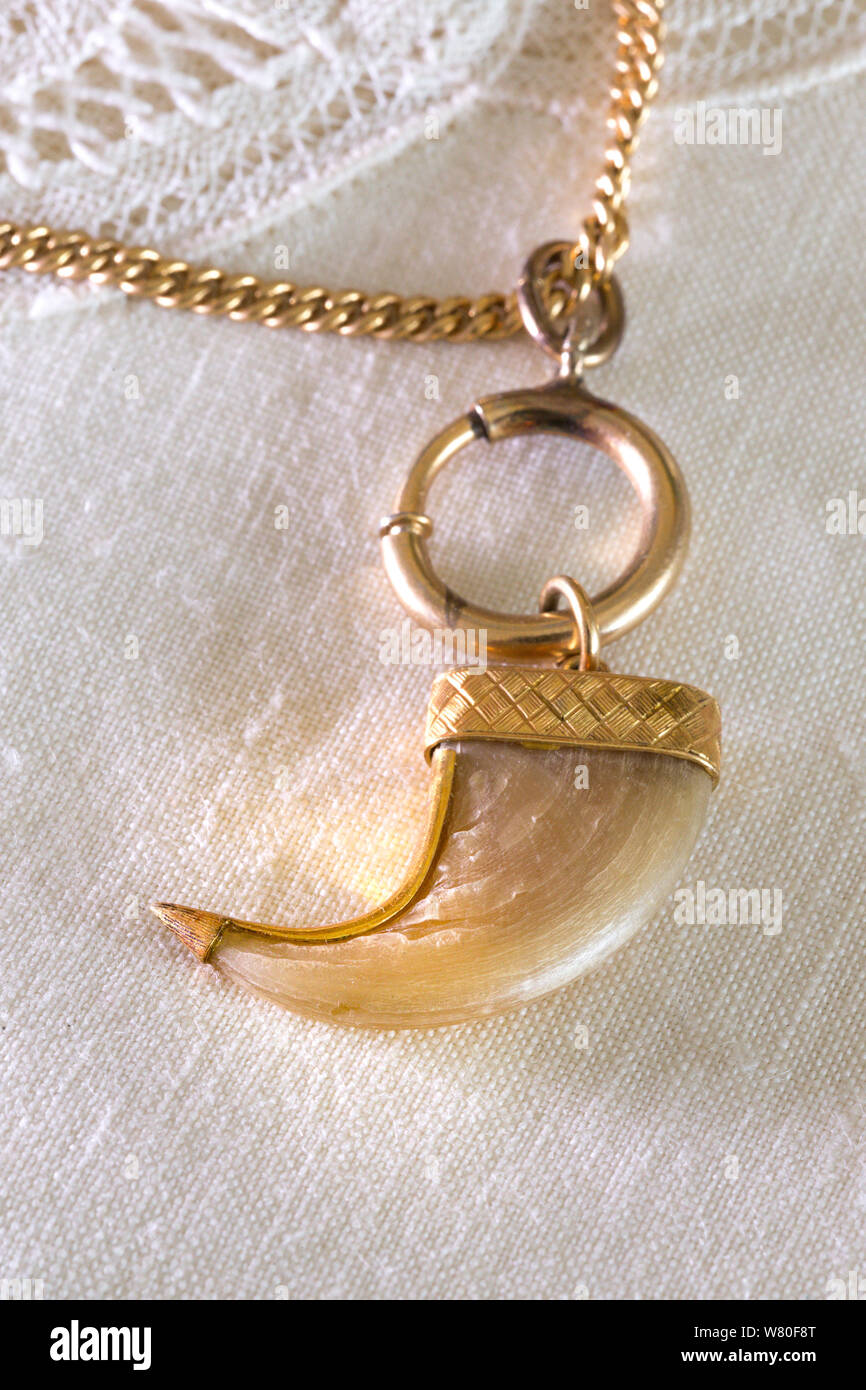Collier griffe de tigre Banque de photographies et d’images à haute ...