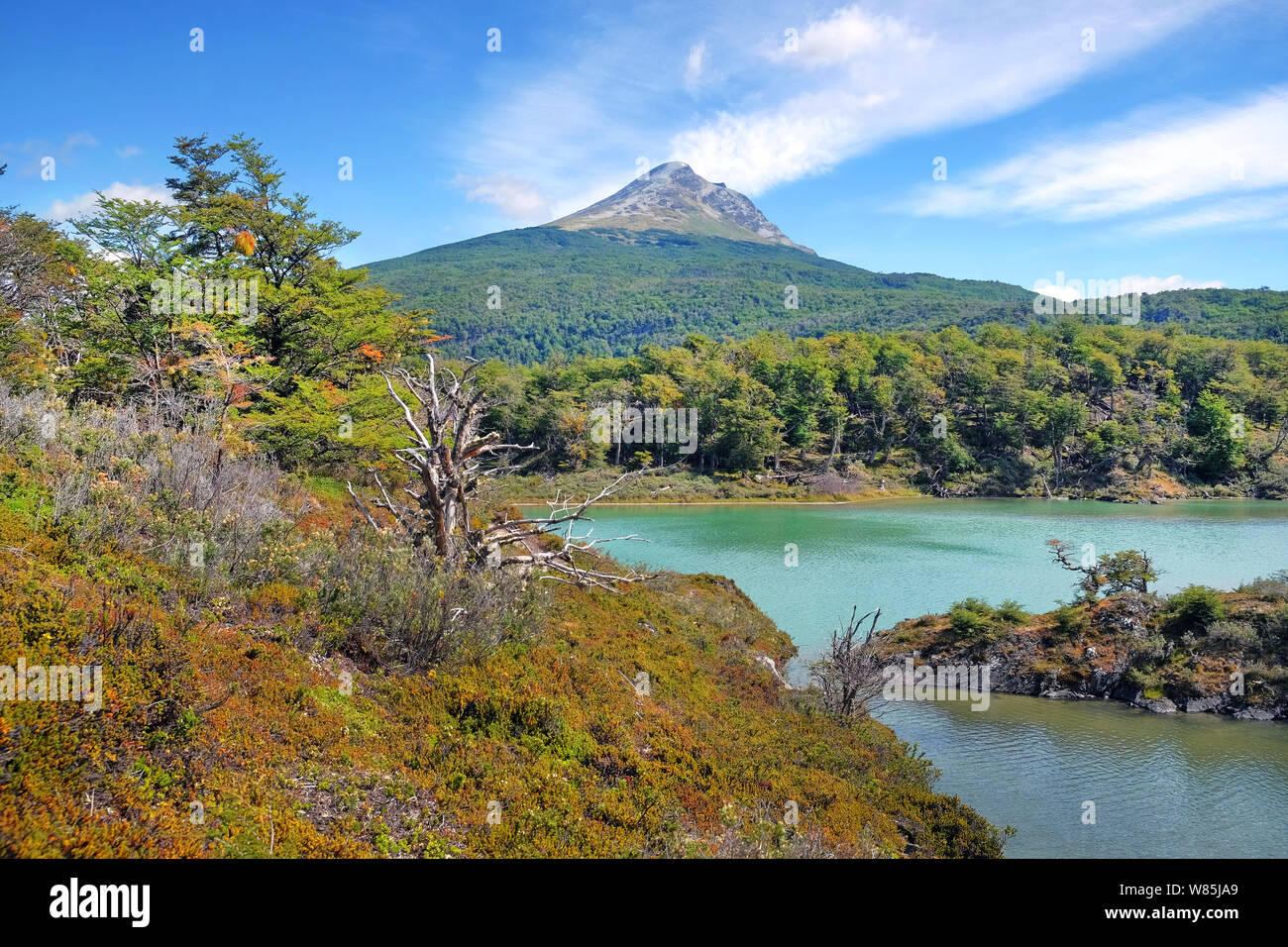 Vue panoramique de la Tierra del Fuego National Park, près de Ushuaia ...