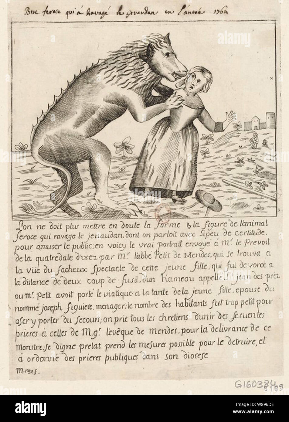 La Bête Du Gévaudan 1764 1767 Banque De Photographies Et Dimages à