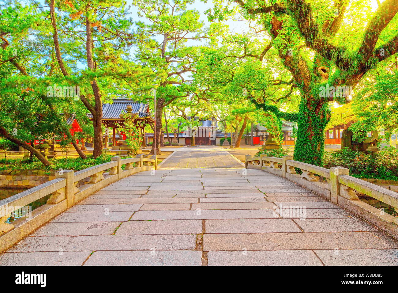 Entrance to sumiyoshi shrine Banque de photographies et d’images à ...