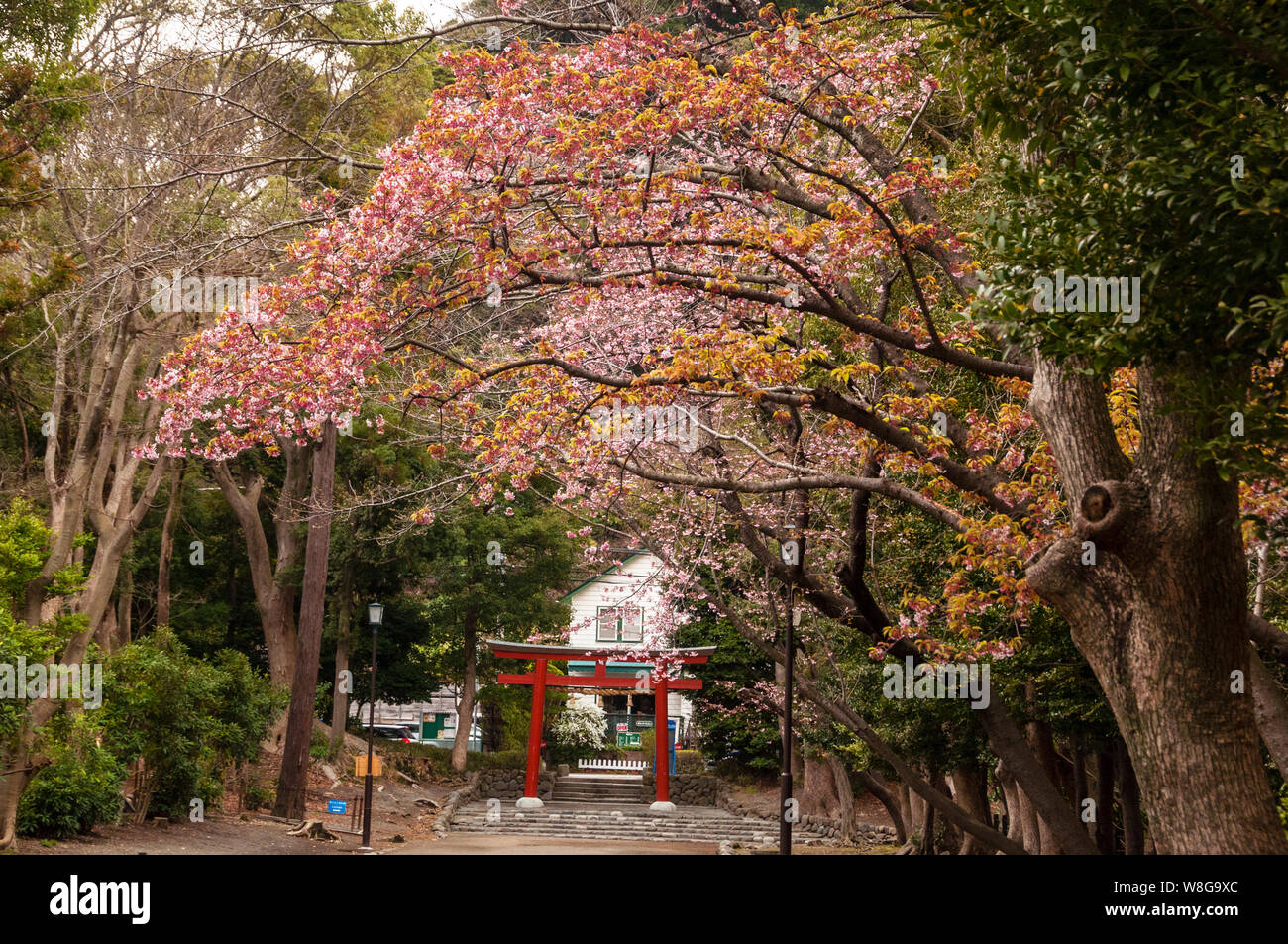 Vermillion rouge torii kamakura Banque de photographies et d’images à ...