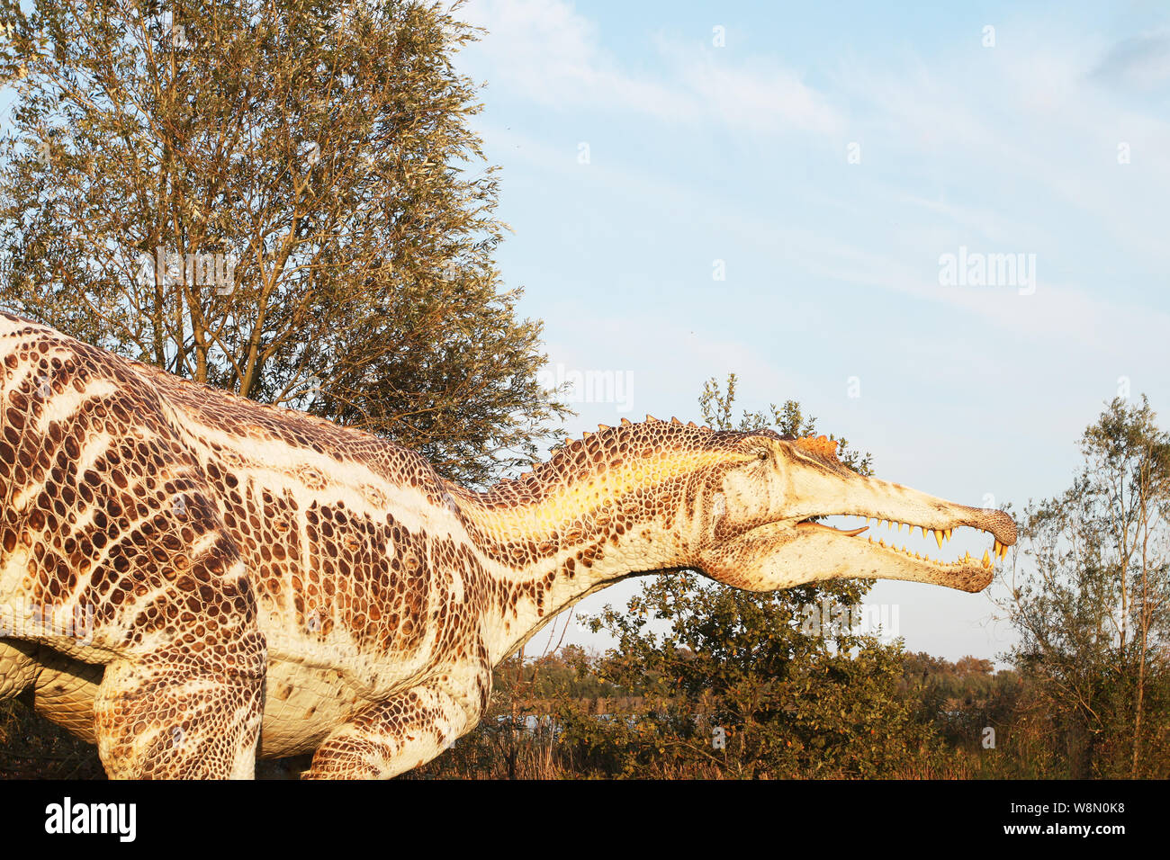 Dinosaur dinosaurs dino spinosaurus Banque de photographies et d’images à haute résolution ...