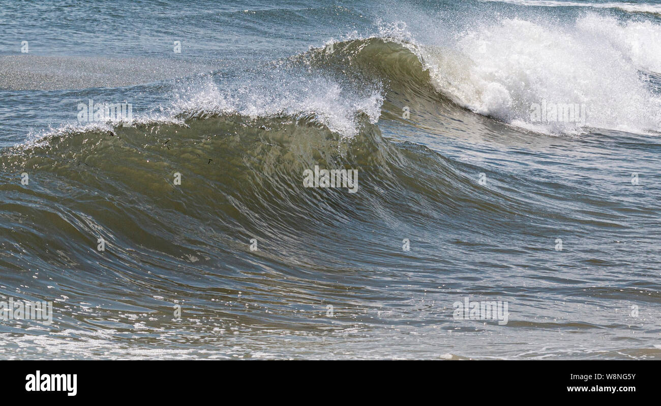 Vagues rouleaux se brisant sur le rivage de la plage Banque de ...