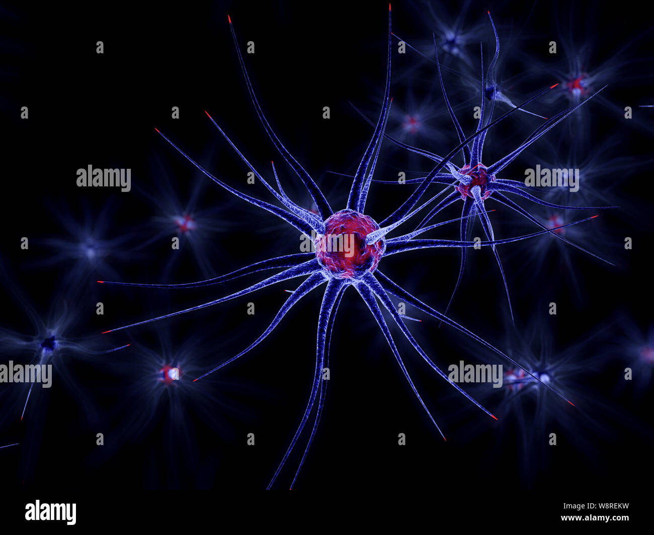 Anatomie de la synapse neuronale Banque de photographies et d’images à ...