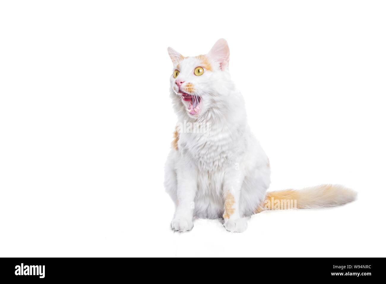 Langue Bouche Ouverte Banque d'images détourées - Alamy