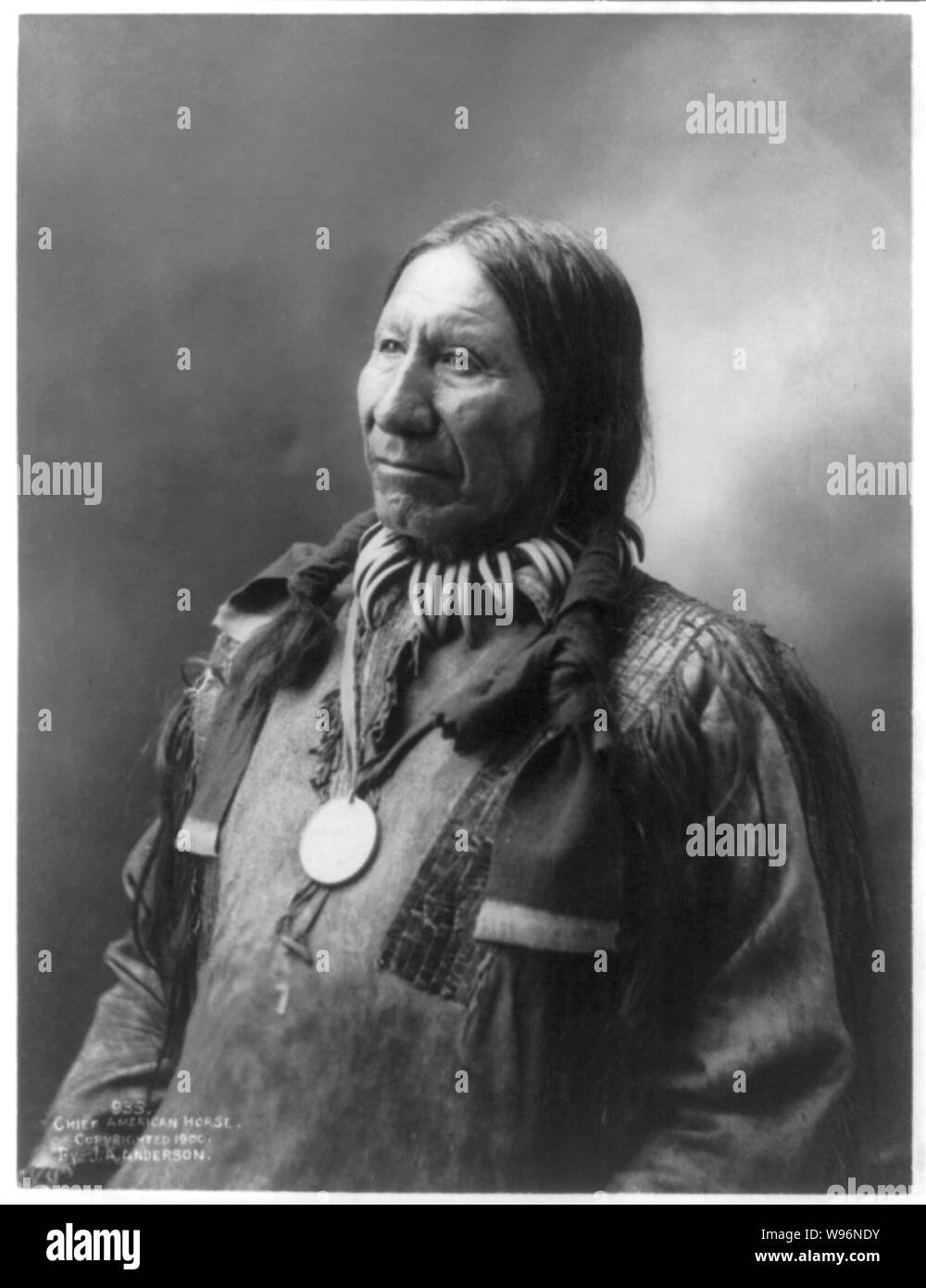 Cheval américain Banque de photographies et d’images à haute résolution ...