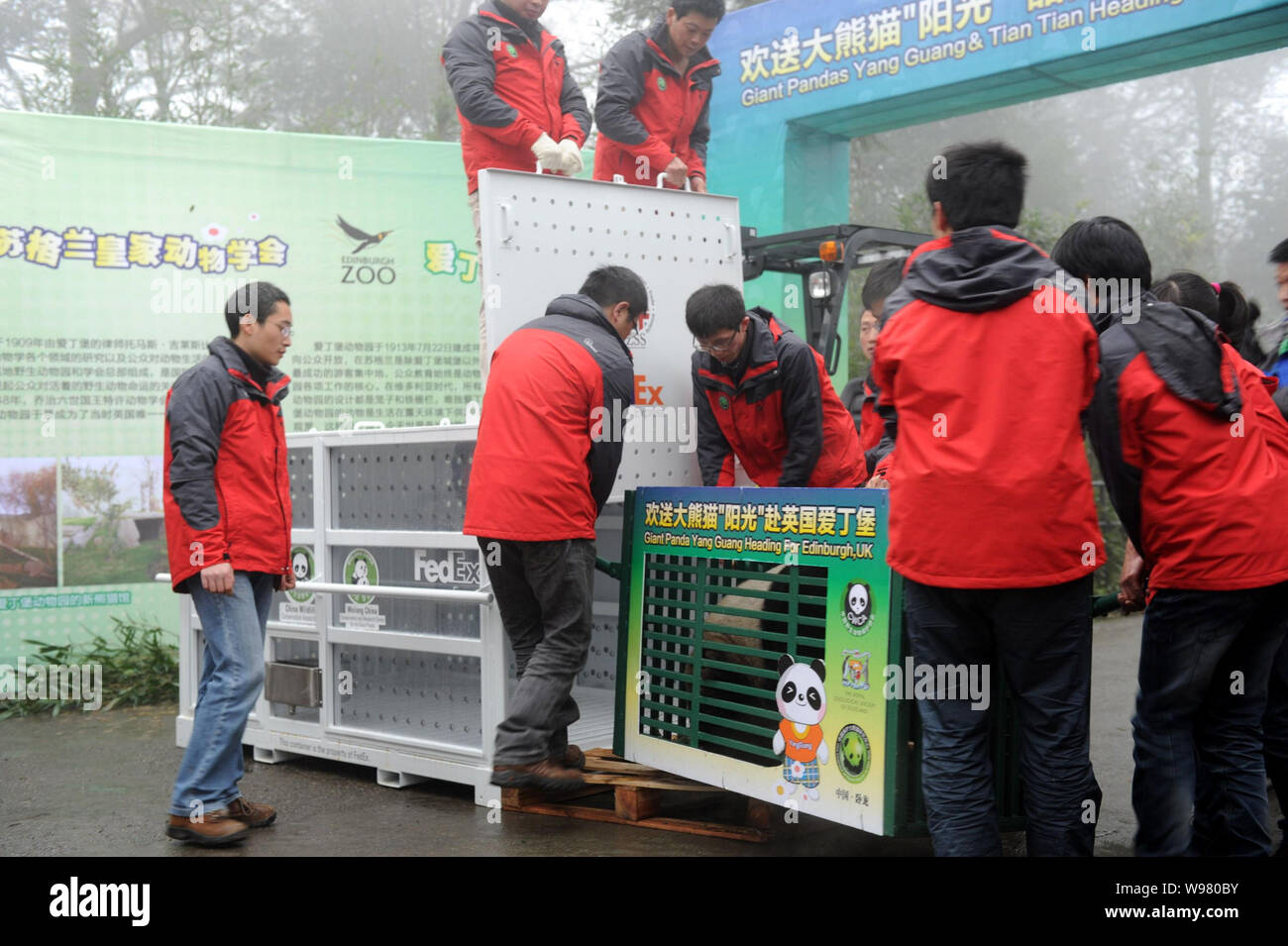 Transporter du personnel chinois Yang Guang giant panda dans une cage à ...